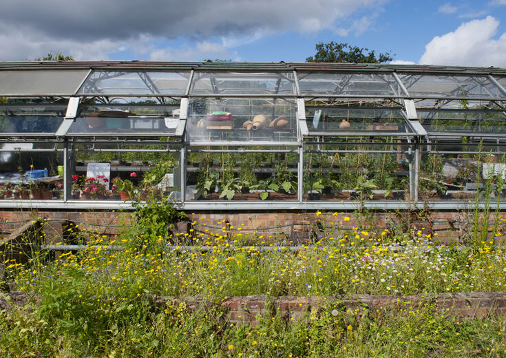 Urban Food Growing | Coronation Gardens